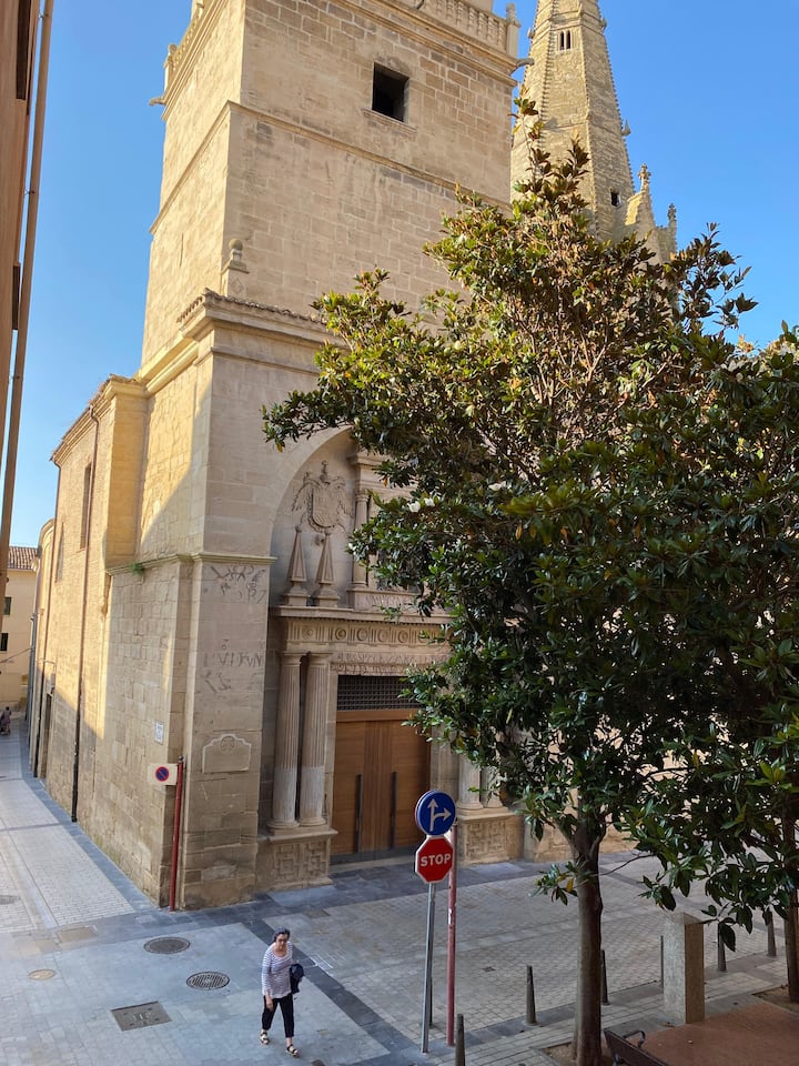 De Palacio - Lardero