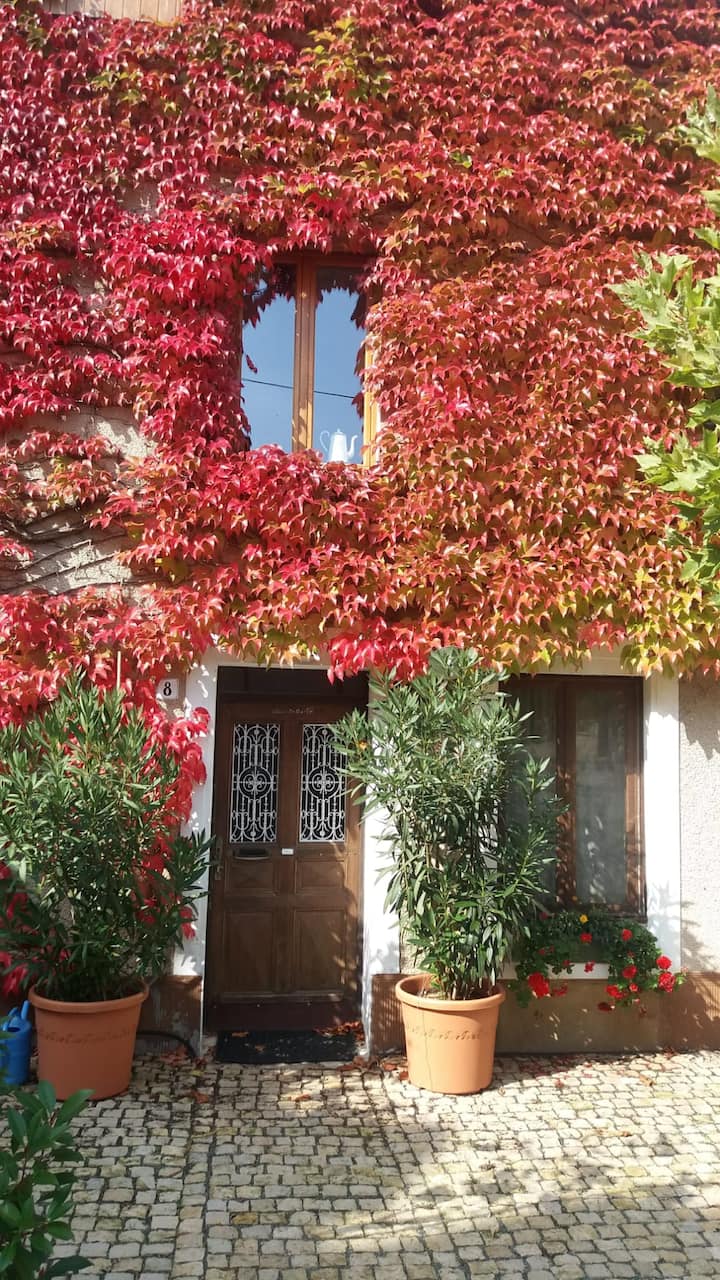 Ferienwohnung ‚Wilder Wein‘ - Perl