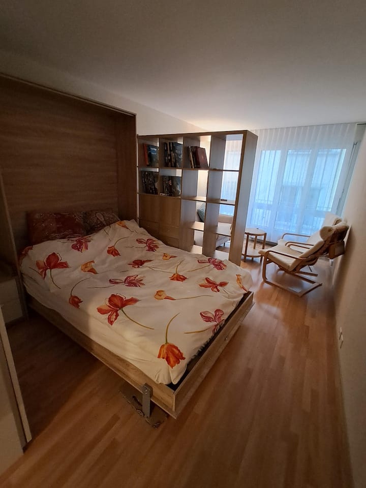 Appartement Neuf, Centre Zürich (Lac & Gare) - Zurich