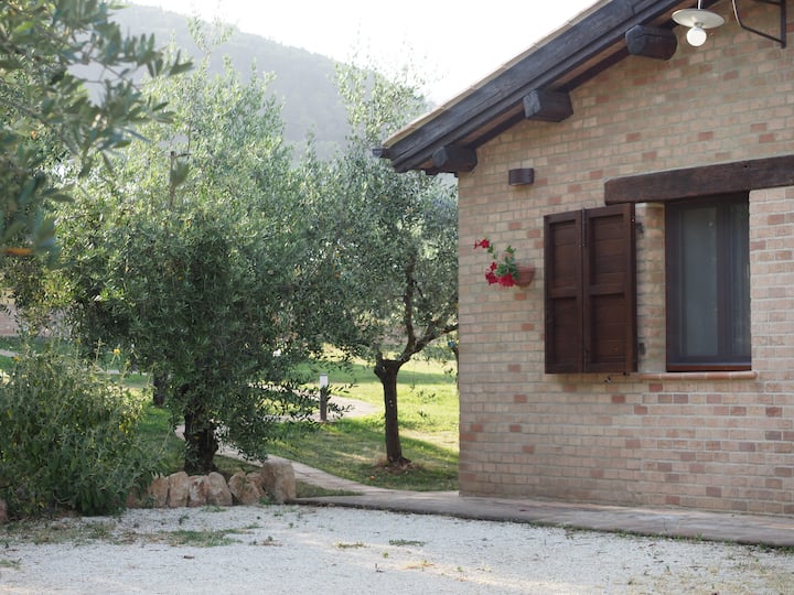 Agriturismo Ulivi E Sentieri - Foligno