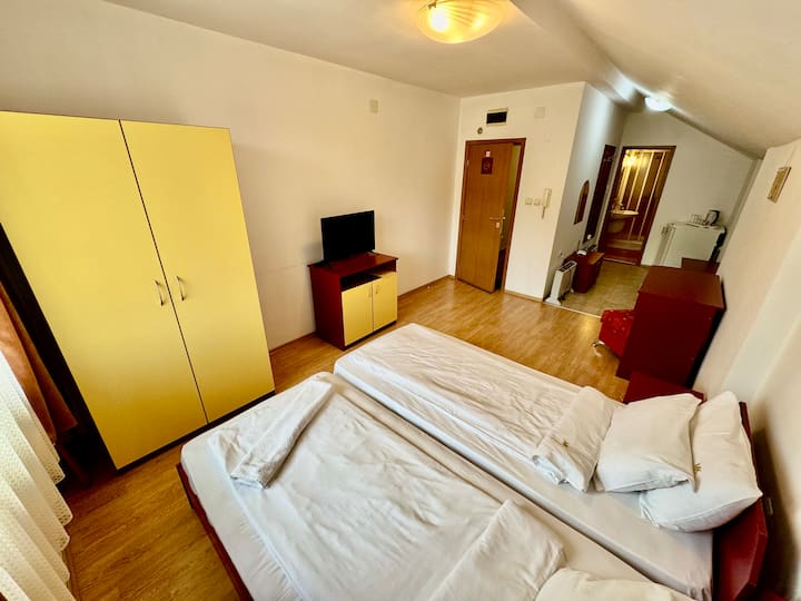 Tk - Room 1 Penthouse - Bansko