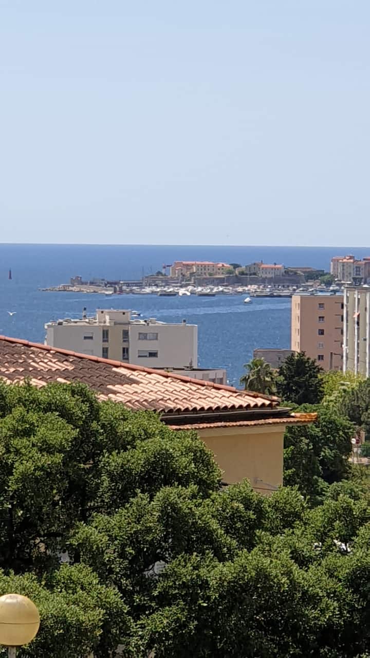 Studio Entrée De Ville Ajaccio - Ajaccio