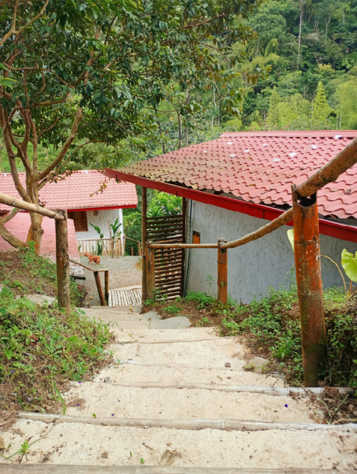 Cabañas Arabi - Descanso Rural - Pereira, Colombia