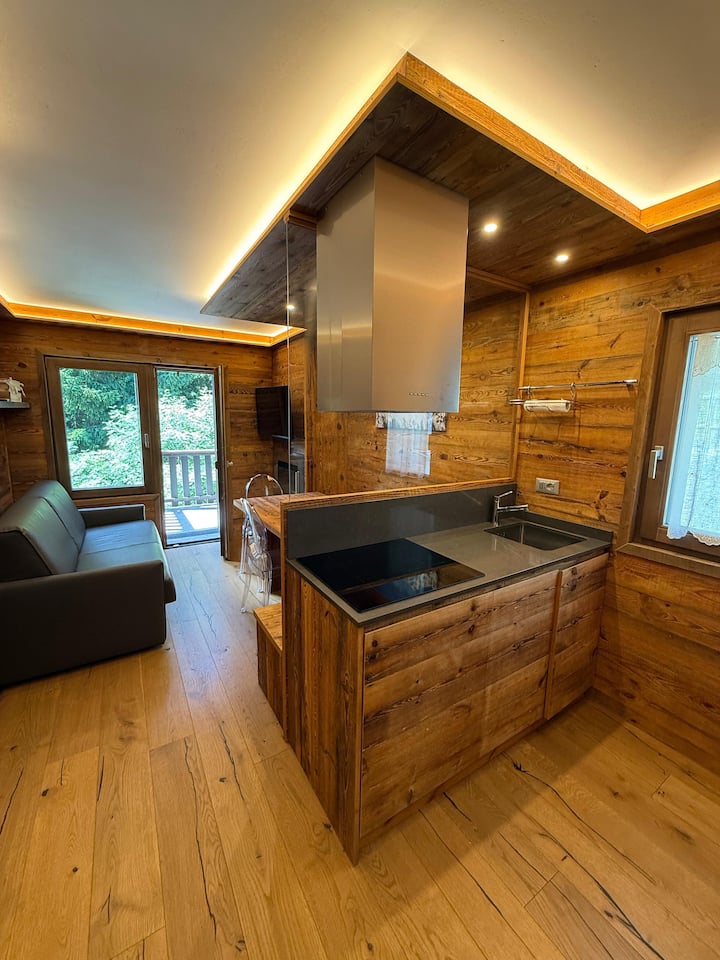 Trilocale Vigo - Serafini - Madonna di Campiglio