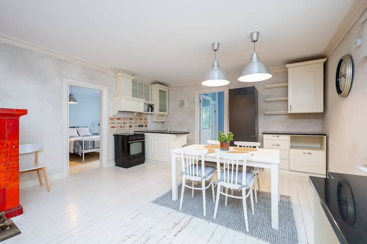 Scandinavian-bohemian Home In The Heart Of Tallinn - Tallinn