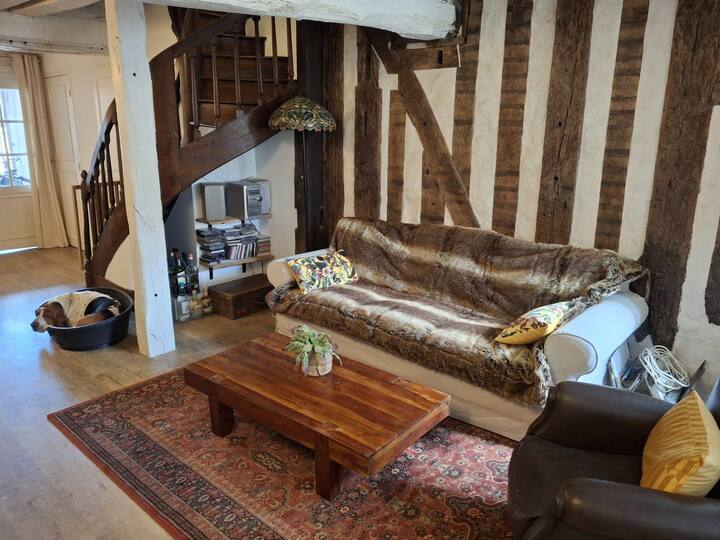 Chambre D'hôte - Centre Orléans - Orléans