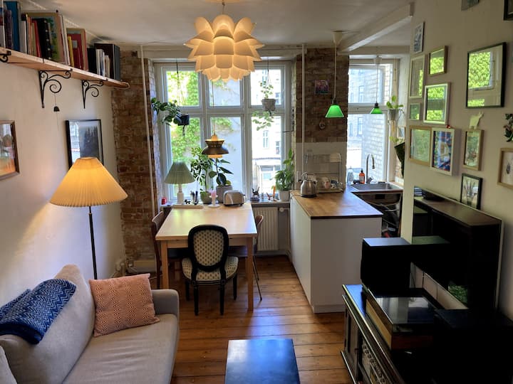 A Cosy Flat In Nørrebro. - Copenhague