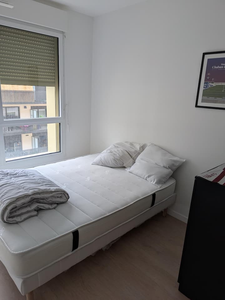 Chambre Privée Lumineuse Dans T4 Bordeaux Centre - Bordeaux