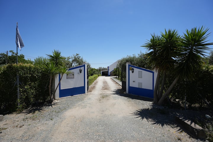 Quinta Das Palmeiras - Alentejo