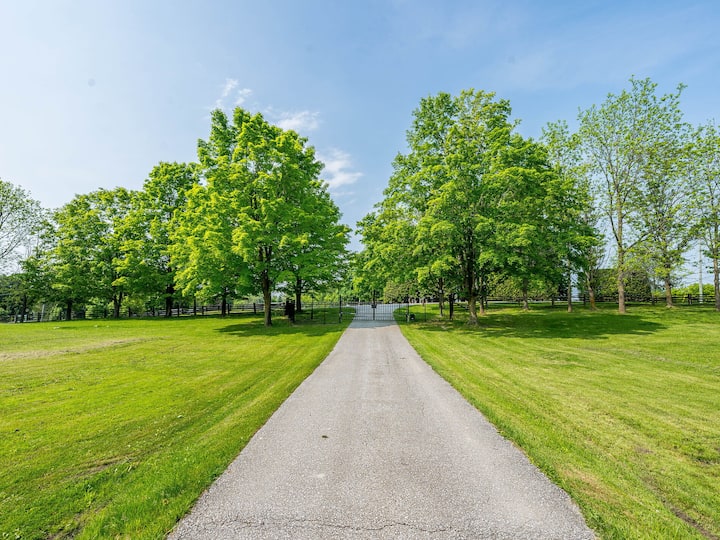 Party House - Bolton, ON, Canada