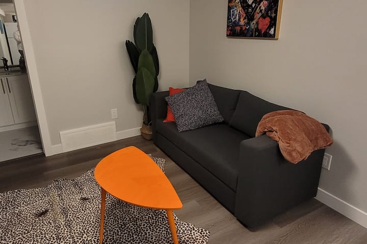 Charming Basement Suite | Sleeps 3 - 愛德蒙頓