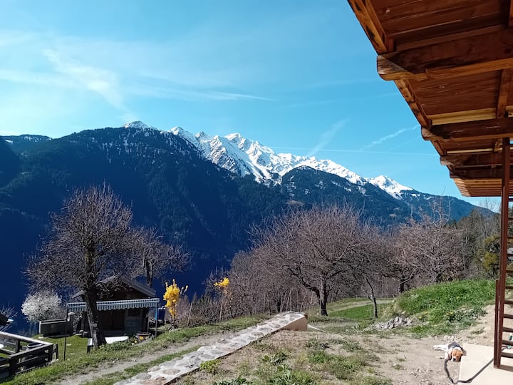Très Bel Appart 6 Couchages Au Rdc D'un Chalet - Albertville