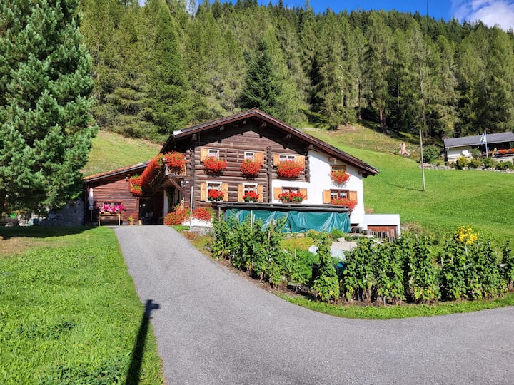 3-zi-whg In Original-walserhaus. - Davos