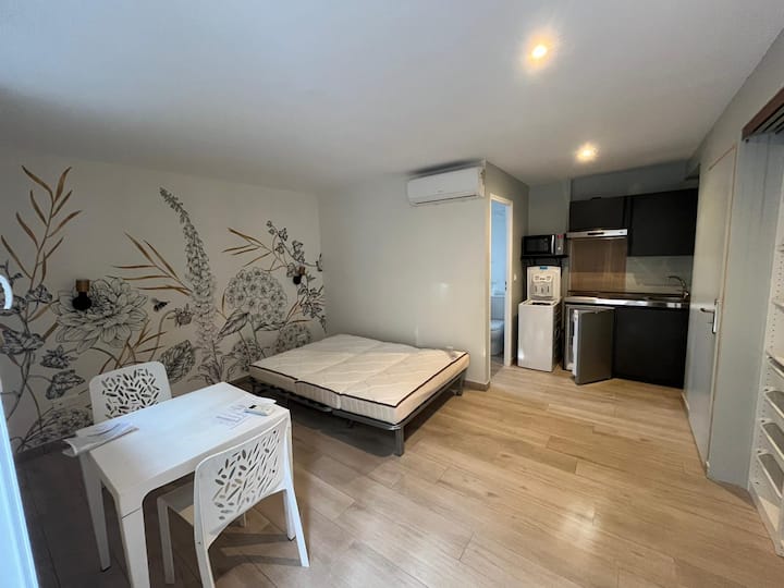 Studio Proche De Perpignan. - Thuir
