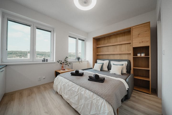 Arena Flat U O2 Areny - Prag