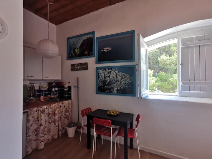 Medusa Felice Studio - Isole Tremiti