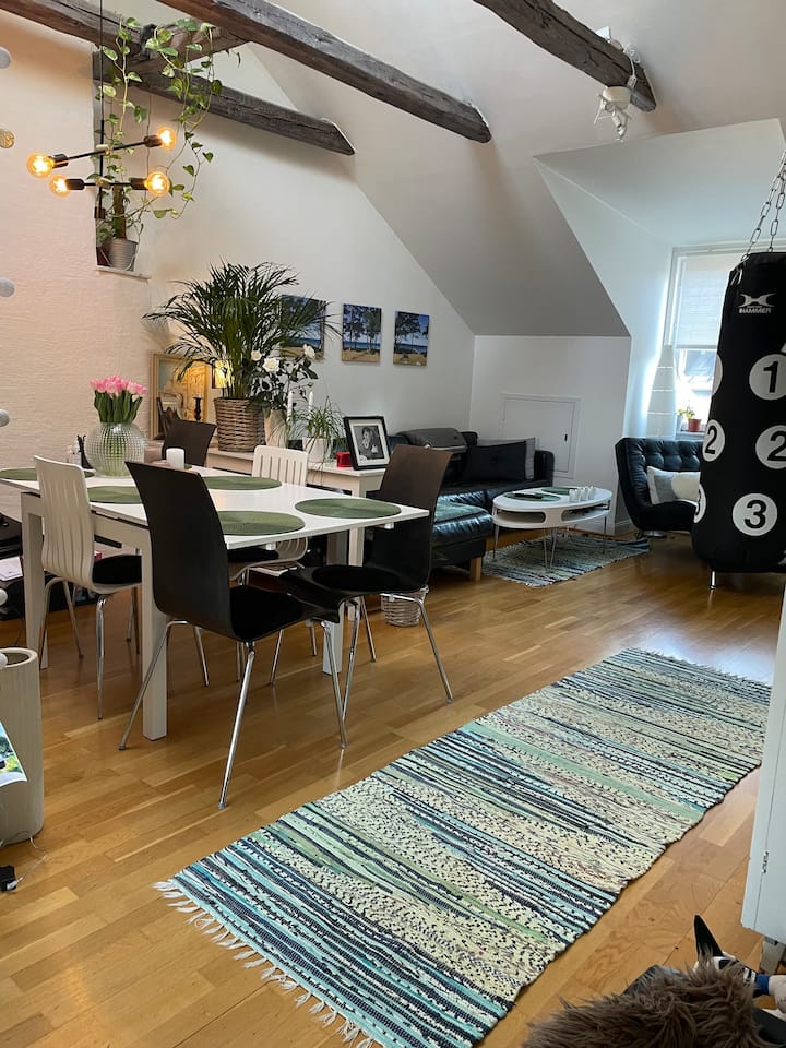 Vindsvåning Vasastan, Stockholm - Stockholm