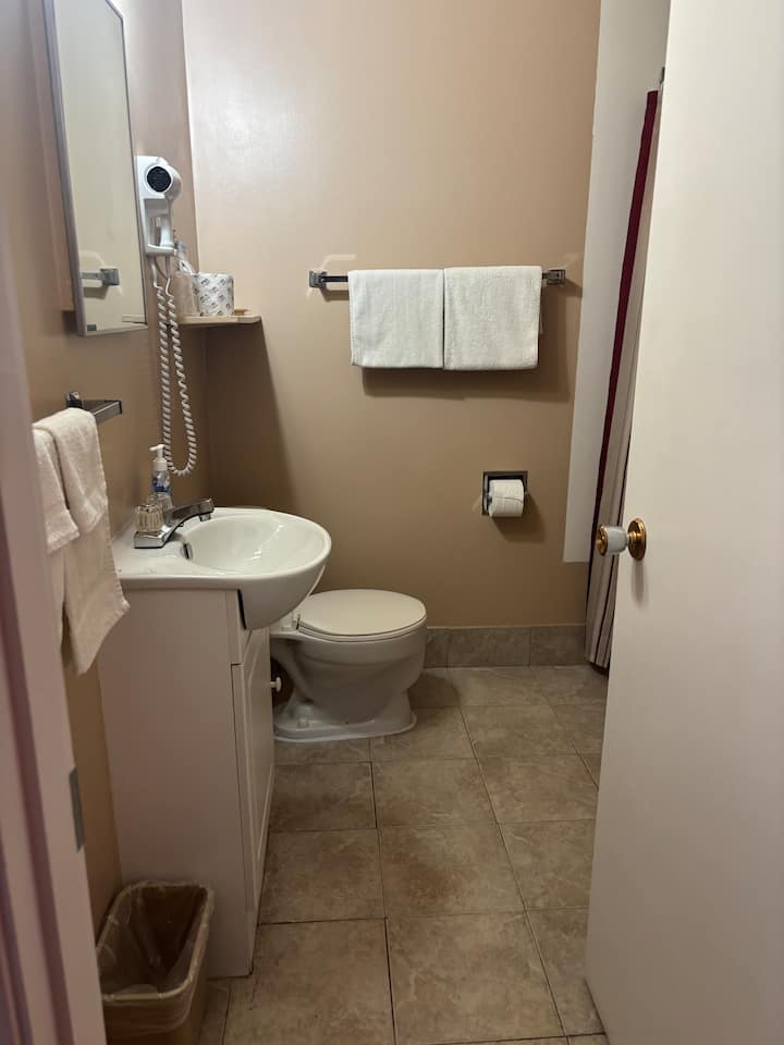 Viking Lamplighter Motel - 바이킹