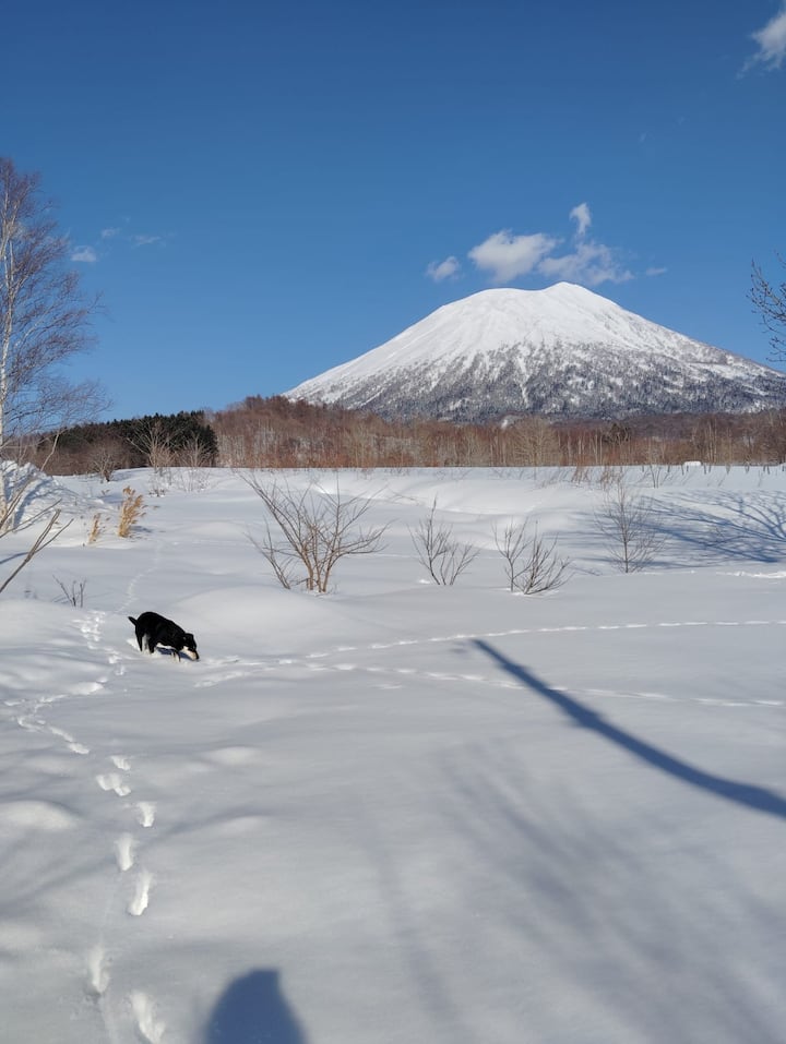 Yotei View House - Niseko - Niseko