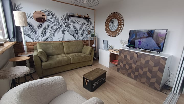 Grand Studio 33 M2 Divisible Vue Mont Blanc - Aime