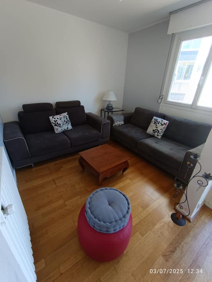 Appartement Grand Et Lumineux - Theix