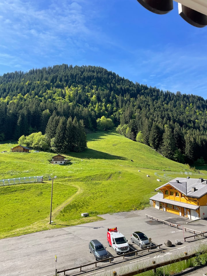Appartement 2 Pièces. - Saint-Jean-d'Aulps
