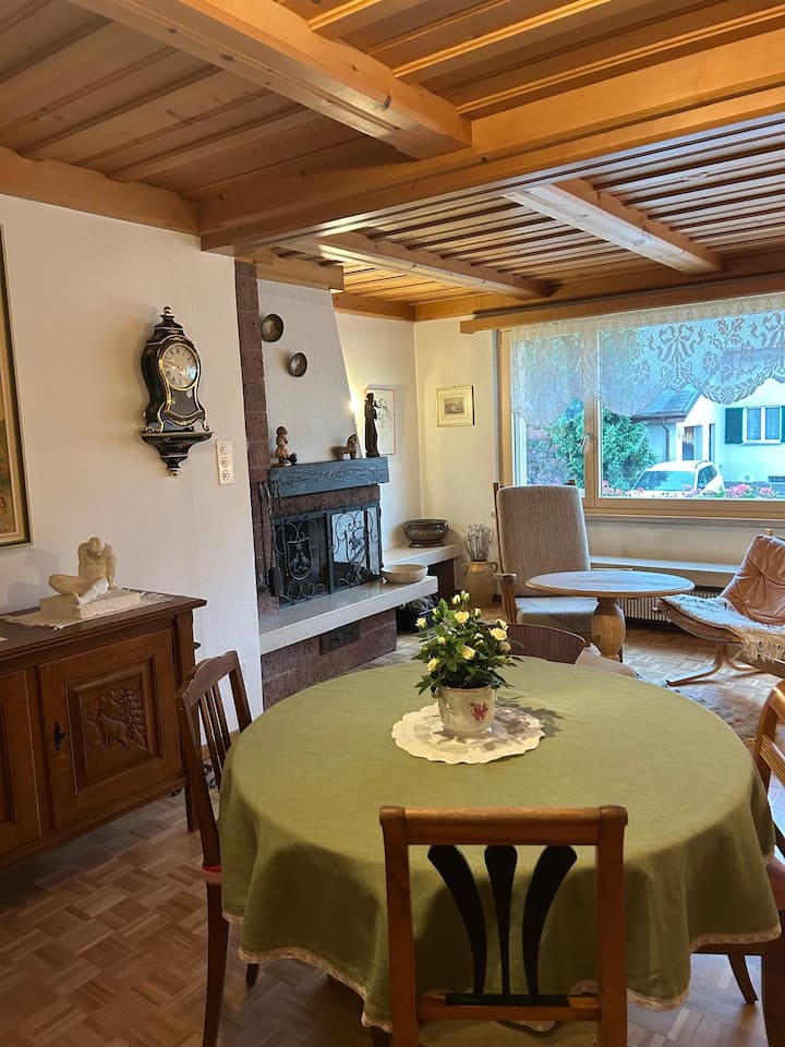 Gemütliche Wohnung In Thun - Thun