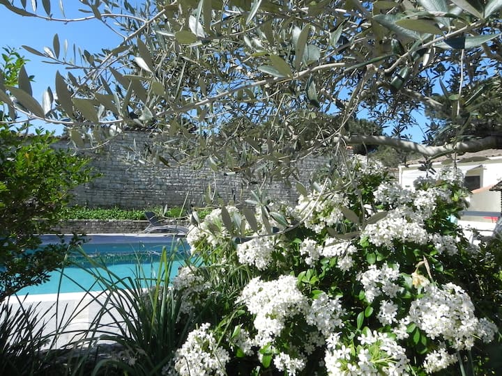 Villa Del Re 4 (Face à La Piscine) - La Flotte