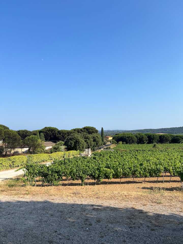 Appartement Dans Les Vignes - Ramatuelle