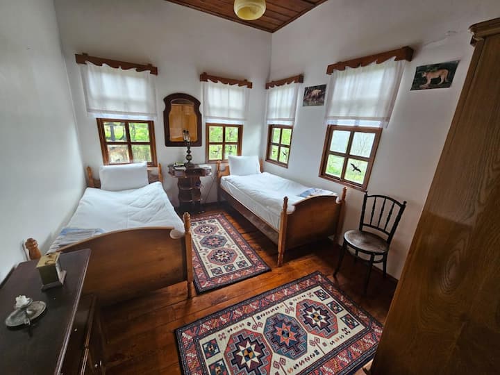 Tarihi Konak Içinde Iki Ayrı Yataklı öZel Oda - Arhavi
