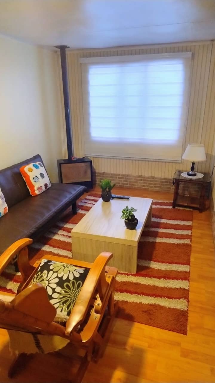 Arriendo Por Día. - Punta Arenas