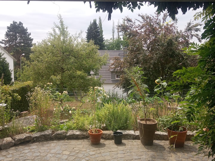 Weißer Oleander - Limburg an der Lahn