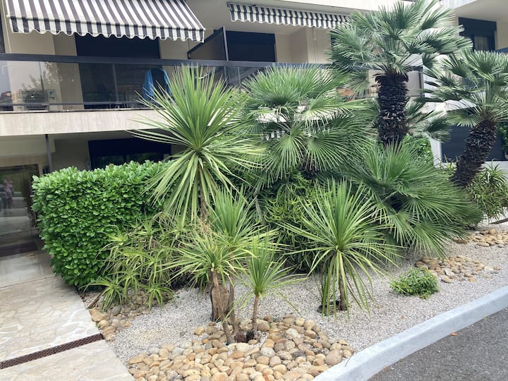 Beautiful Studio In Cannes - Cannes