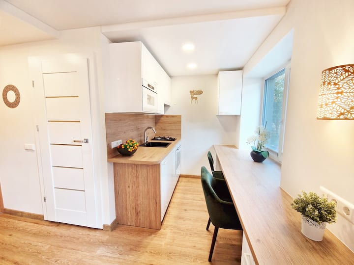 Old Town 20 Min Walk Balcony New Superior Studio - Vilnius