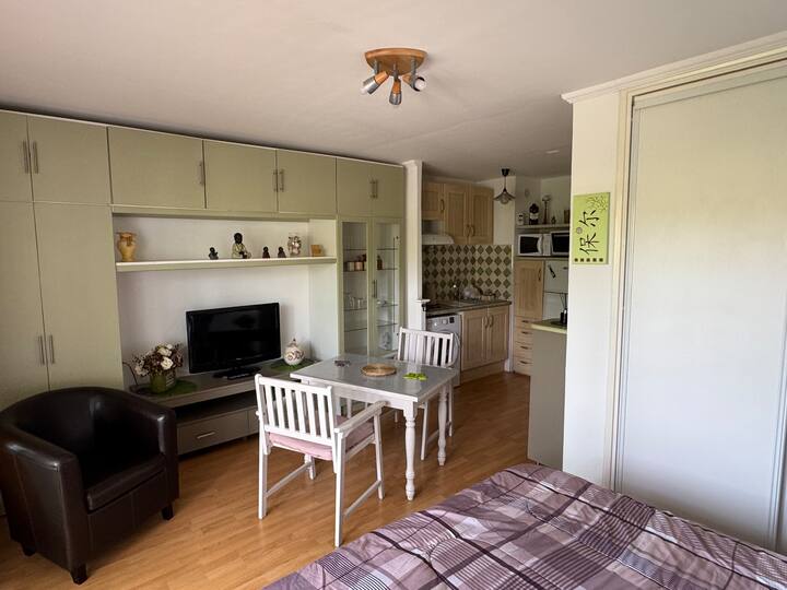 Studio Meublé, 3è éTage Avec Ascenseur, Climatisé - Gréoux-les-Bains