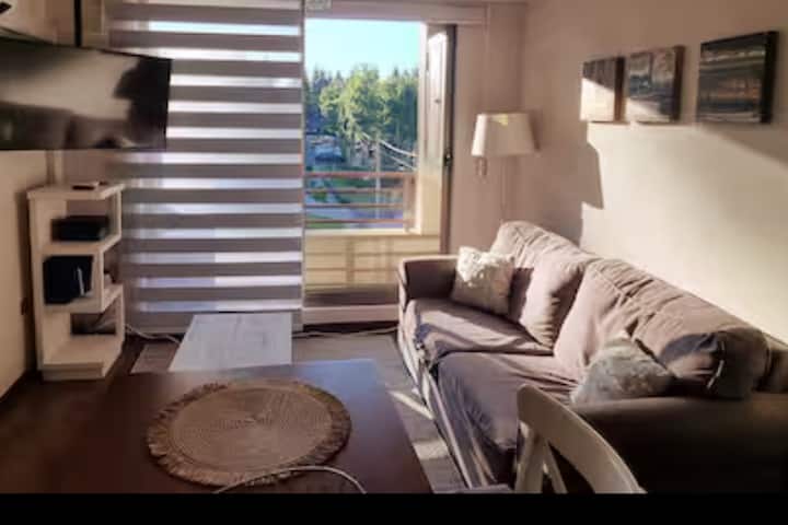 Full Equipado, En Hermoso Condominio - Pucón