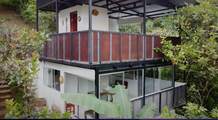 Bird's Nest By The Waterfall. - Orotina