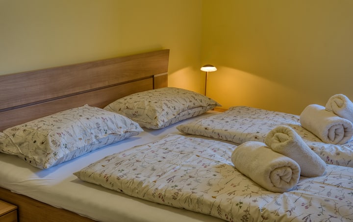 New Metropolitana's Zois Apartments - 302 (Deluxe) - Bohinjska Bistrica