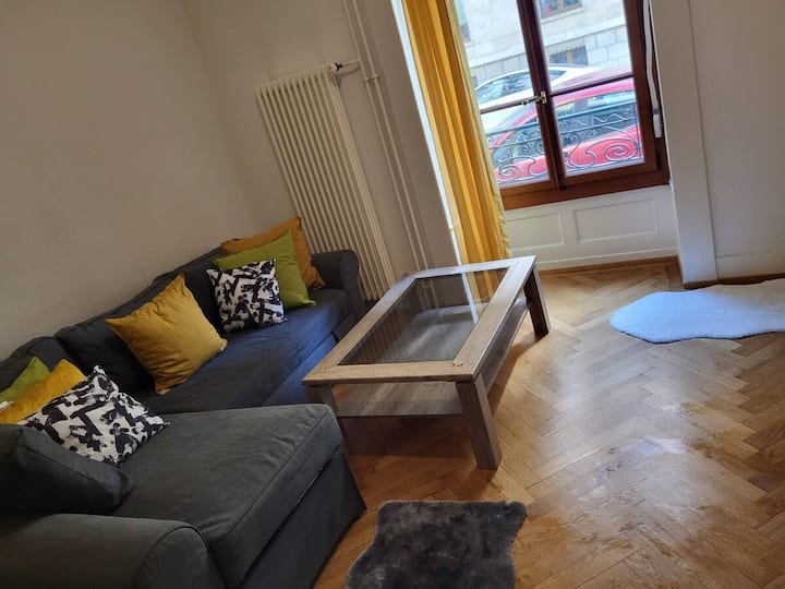 Lovely Bedroom Apartment - Ginebra