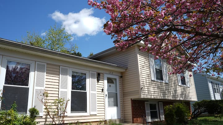 Comfy Suite Prime Location - Ashburn, VA