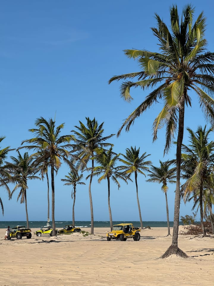 Apê Beach Place 100m Da Praia - Brasil