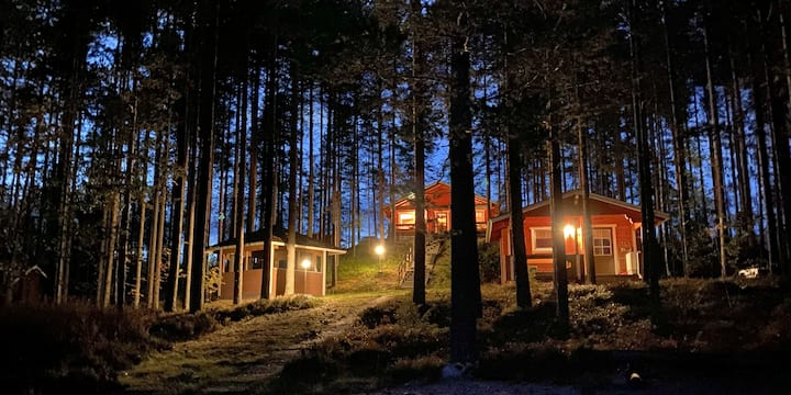 Viihtyisä Kesämökki Koitereella - Joensuu