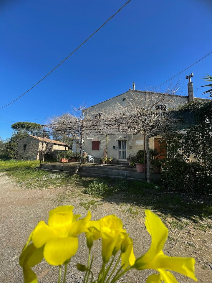 Virgy's House - Follonica