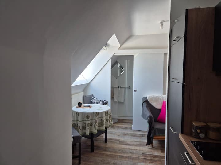 Studio Cosy à Pont Rean - Guichen