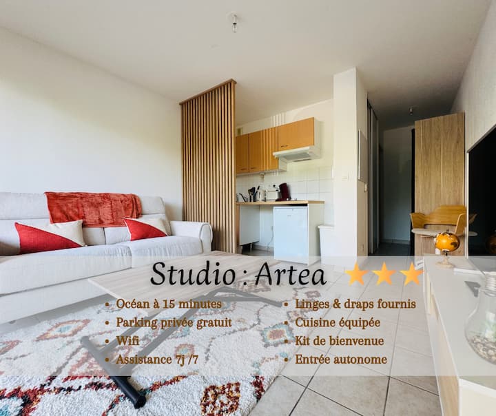 Studio Artea - Centre Anglet - Anglet