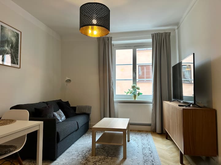 Stay Inn: Cozy And Spacious One-bedroom Apartment - Stockholm