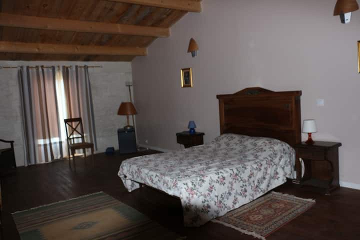 Les Oiseaux - Marennes