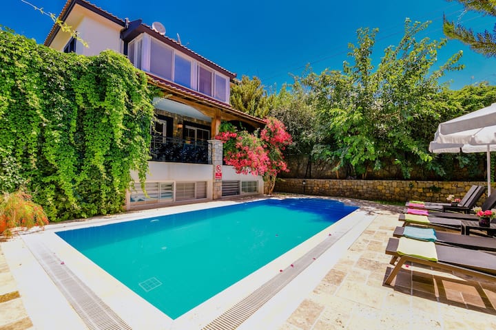 Doğa Manzaralı 10 Kişilik Modern Villa 48-11074 - Kayaköy