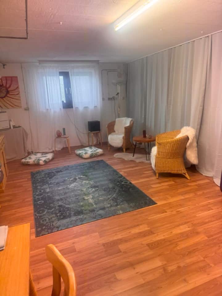 Grüne Auszeit Am Bodensee - Friedrichshafen