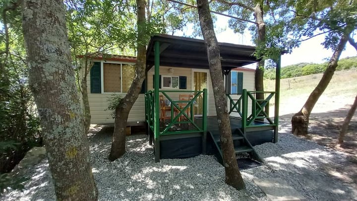 Bungalow Nel Bosco - Cecina